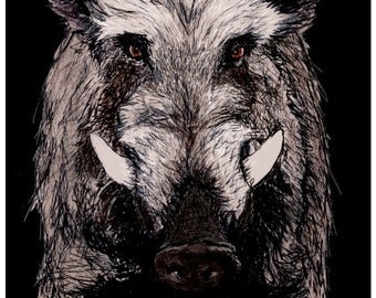 Wildschwein zeichnung | Etsy
