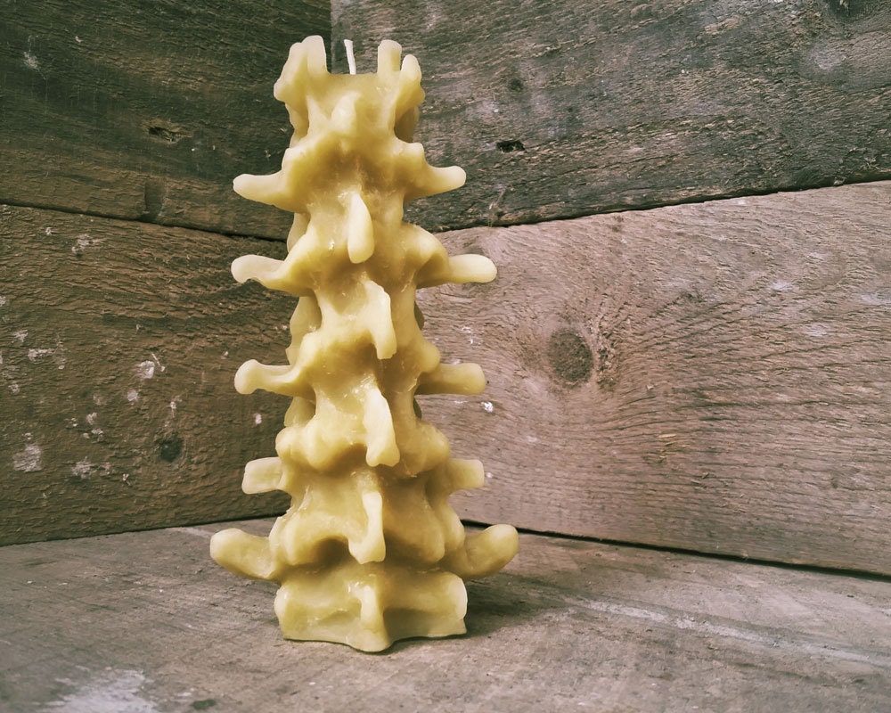Medium Human Spine Candle Spooky Beeswax Halloween Candle