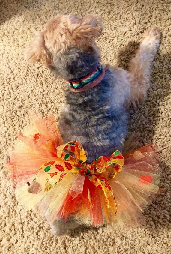 Items similar to Fall Dog Tutu on Etsy