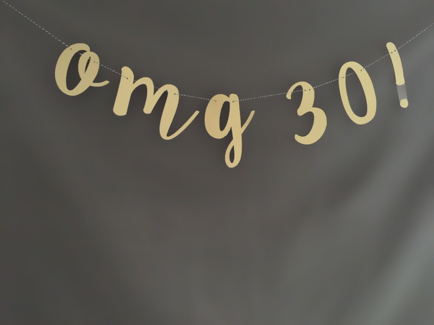 30th Birthday Decorations 30th Birthday Banner 30th birthday