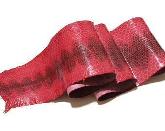 Real snake skin | Etsy