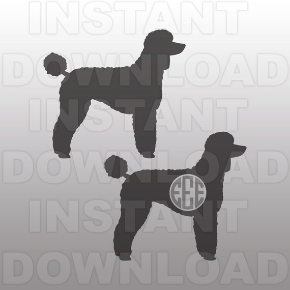 Poodle SVGPoodle Monogram SVG FileCutting Template-Vector