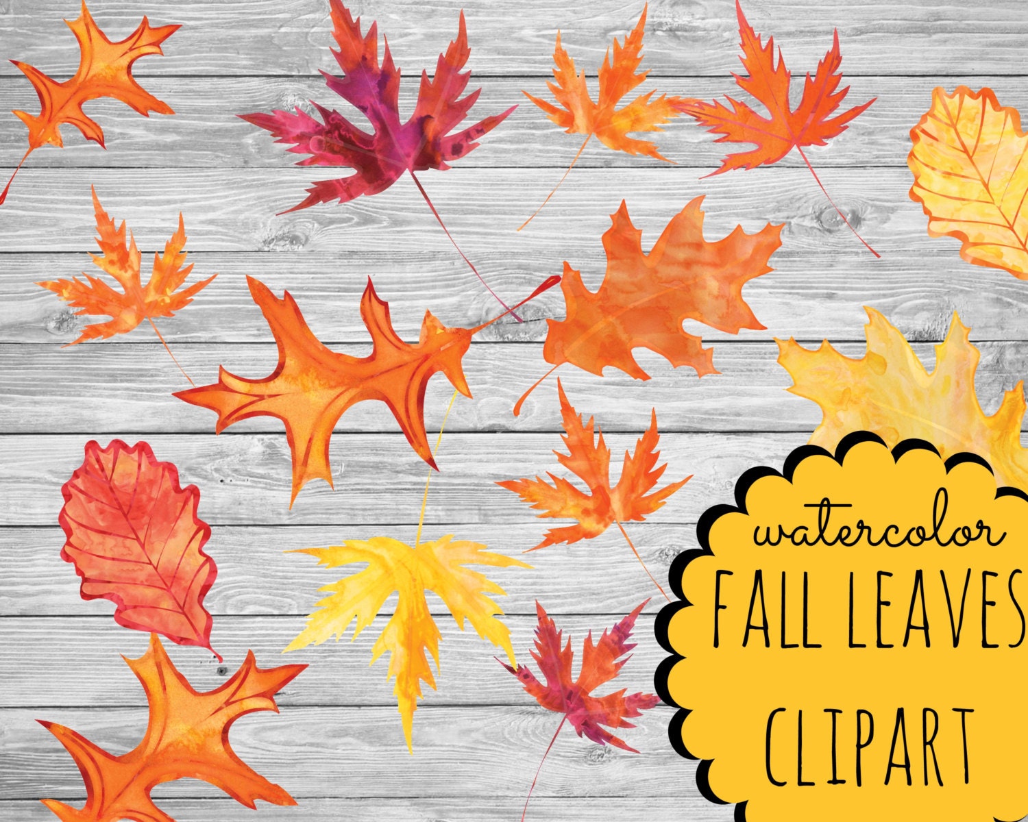 Watercolor Fall leaves clip art Instant download digital