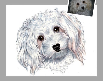 Maltipoo art | Etsy