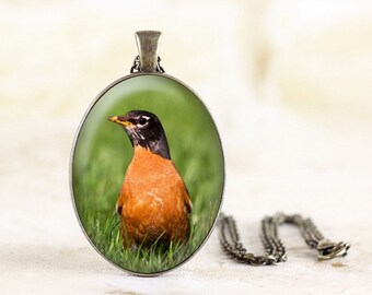 Red Robin Necklace Red Bird Necklace Robin Pendant Bird