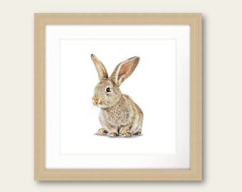 Bunny rabbit print | Etsy