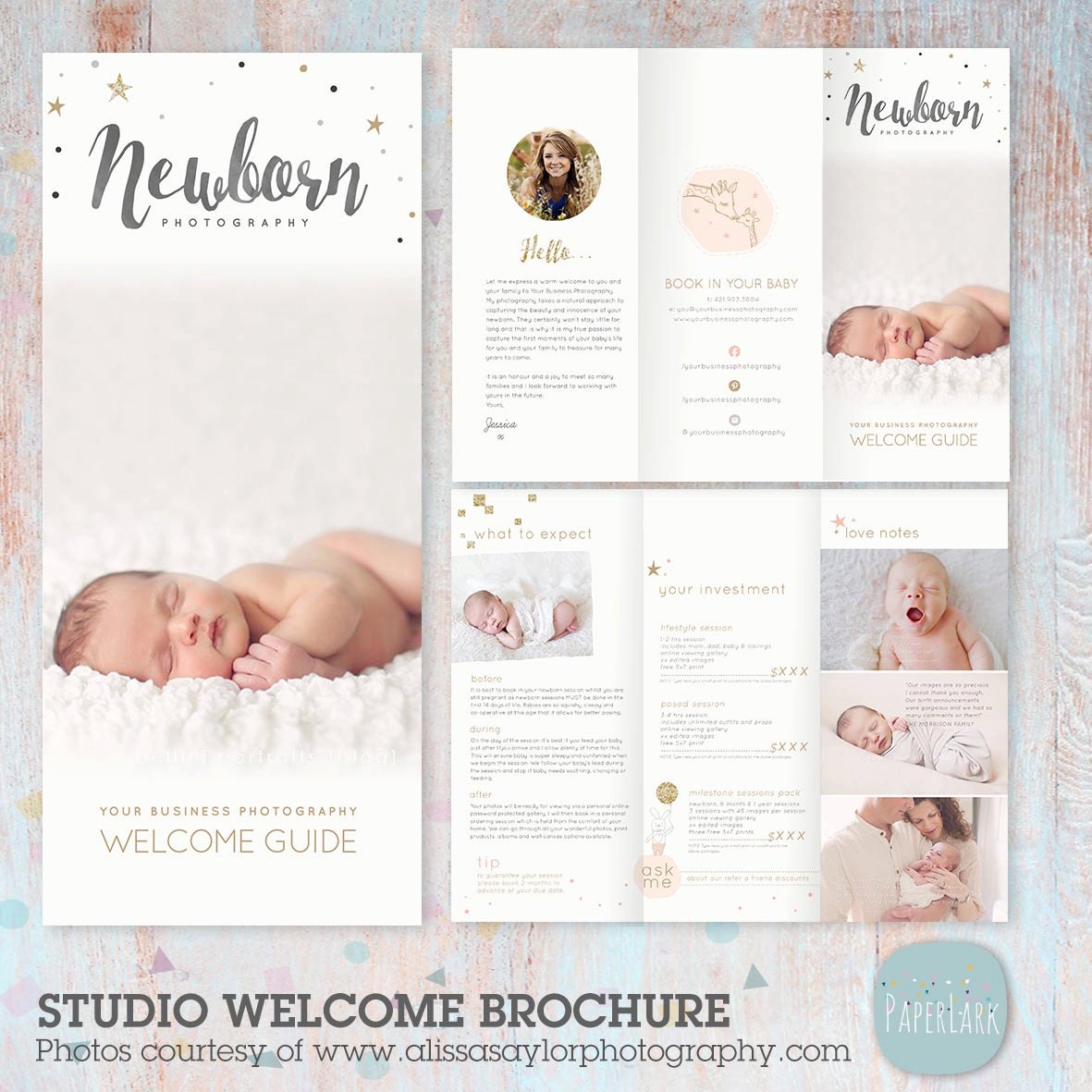 Newborn Trifold Brochure Flyer Photography Guide DL Size