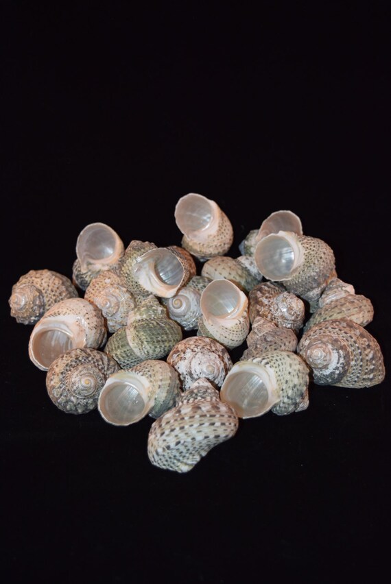 What’s happening? Are they banging or is he pulling her out of her ...