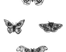 Popular items for insect drawings on Etsy