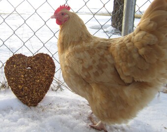 Pecking chickens | Etsy