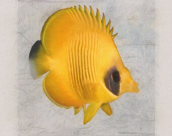 Tropical fish art | Etsy