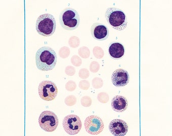 Vintage microscope | Etsy