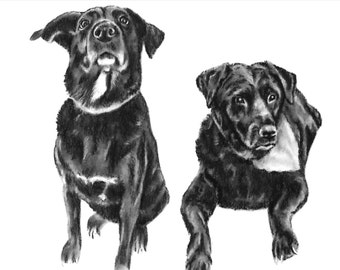 Black lab drawing | Etsy