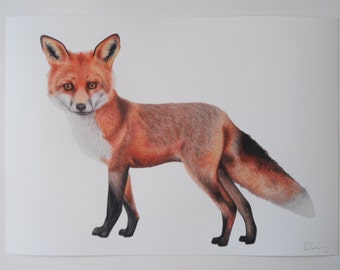 FOX FUN art print // cute fox illustration // orange home