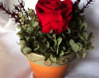 Items similar to Forever Roses, silk roses dipped in scented soy wax ...