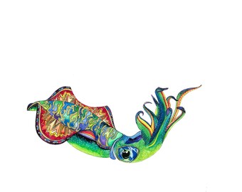 Cuttlefish print | Etsy