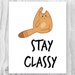 Stay Classy Cat Art Print Funny Orange Cat Art Printable