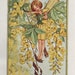 Flower Fairies: THE LABURNUM FAIRY Vintage Print c1930 by