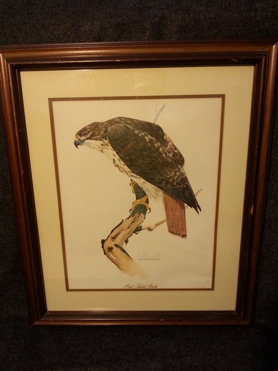 Red Tailed Hawk Print signed by Tom Dunnington