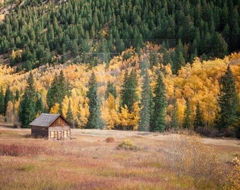 Fall At Its Peak Above The Ashcroft Ghost Town Near Aspen