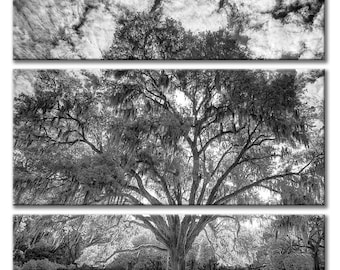 Tree triptych | Etsy