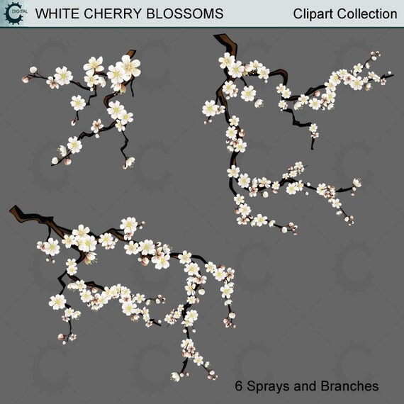 White Sakura/Cherry Blossom Clipart Collection