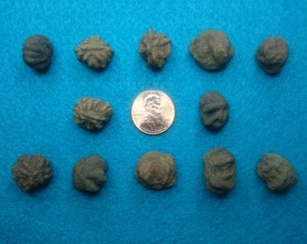 Oklahoma rose rock | Etsy