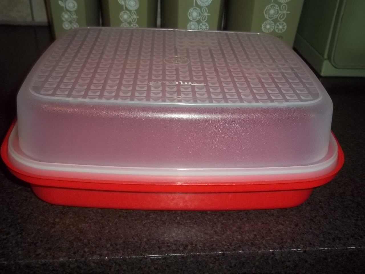 Vintage Tupperware Season Serve Large Meat Marinator Tray in Red ...