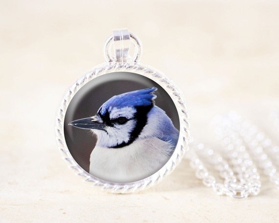 Blue Jay Necklace Silver Bird Jewelry Pendant Blue Jay