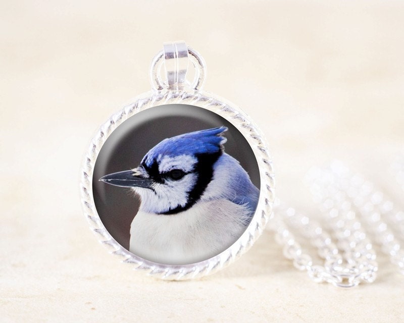 Blue Jay Necklace Silver Bird Jewelry Pendant Blue Jay