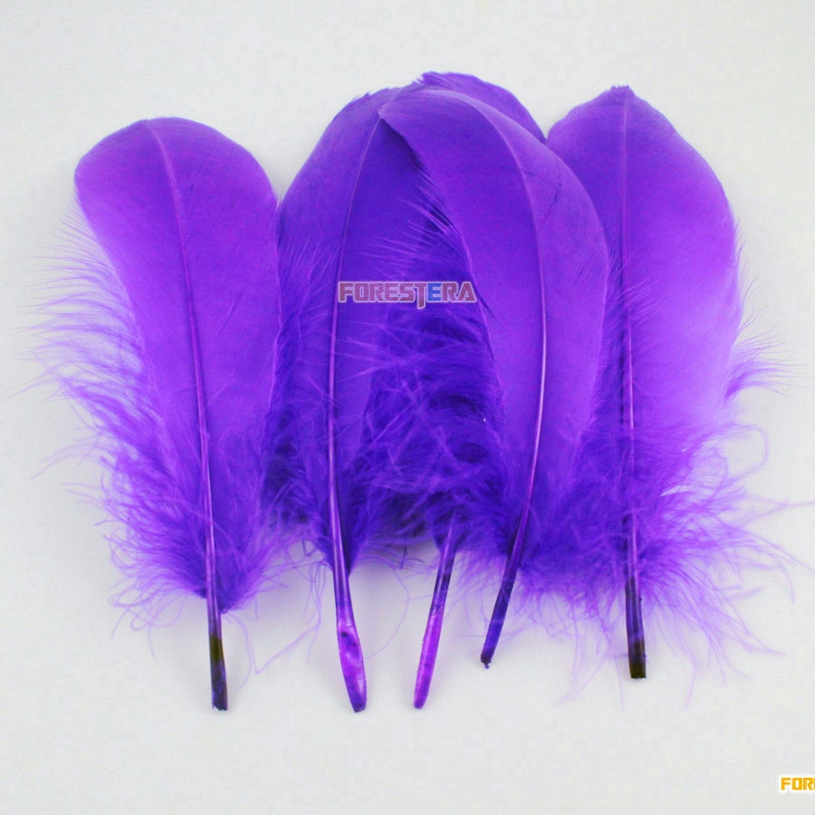 50 Pieces Purple Feather 10-15cm YM102