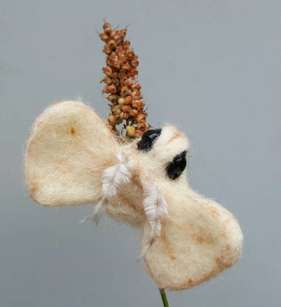 Felt Moth Brooch Needle Felted Venezuelan Poodle Moth White
