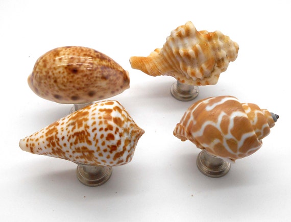 Knobs Shell Knobs Cabinet Knobs Set of 4 Shell Cabinet