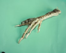 Unique chicken feet charm related items | Etsy