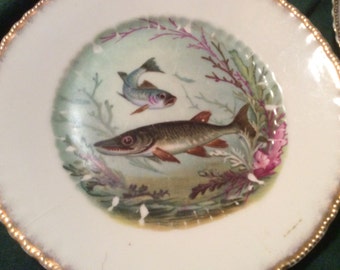 Fish plates | Etsy