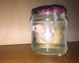 Fetus in a jar | Etsy