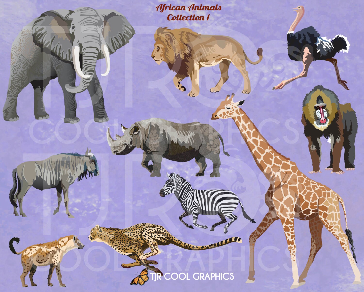 African Animals 1 Digital Realistic Clip Art PNG Printable