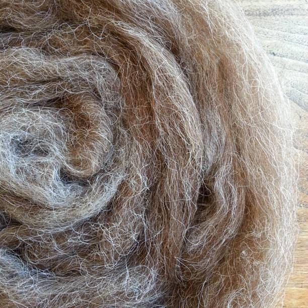 Navajo Churro Wool Roving Homegrown Natural Colors 4 oz.