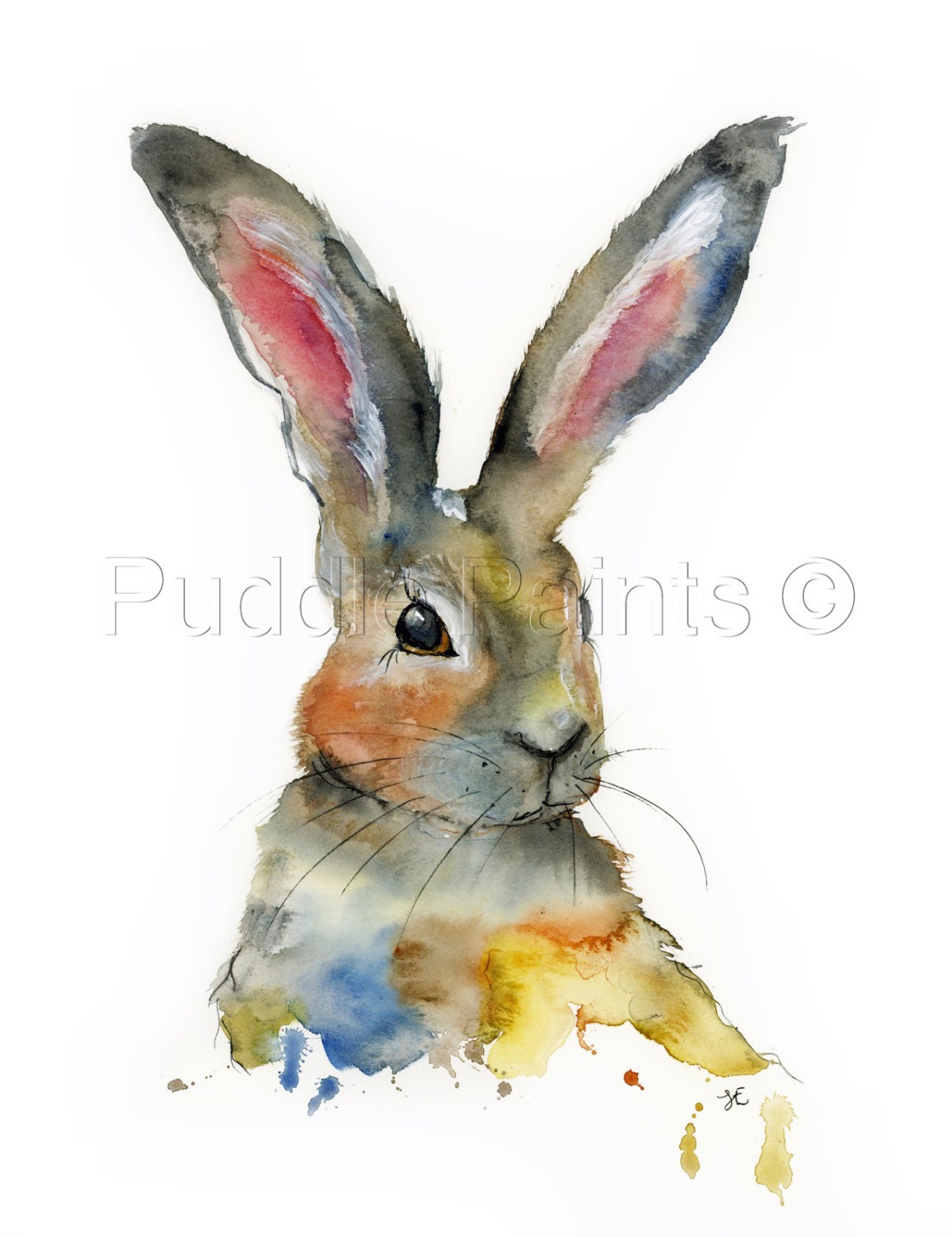 Hare watercolour painting PRINTS