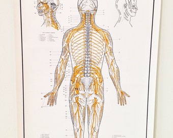 Vintage Redbook Magazine Cover in an Antique by MadisonMarketHouse