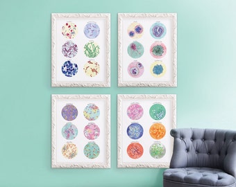 Microbiology poster | Etsy