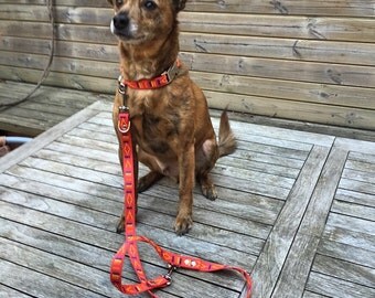 Collares y correas para mascotas – Etsy ES