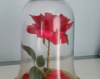 Enchanted rose | Etsy