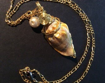 Gold shell necklace tiny shell necklace sea shell necklace