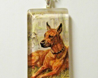 Black great dane | Etsy