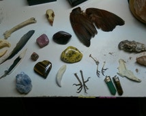 Unique oddities related items | Etsy