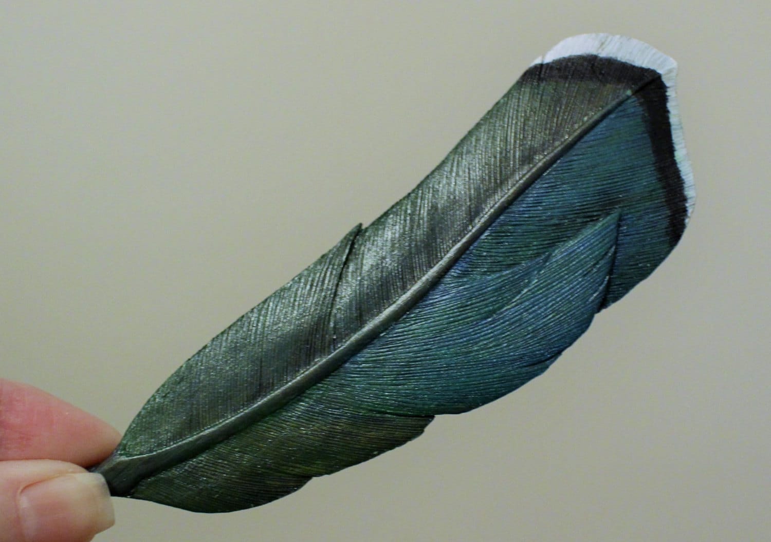 Feather pin brooch Wooden feather Duck feather Duck pin