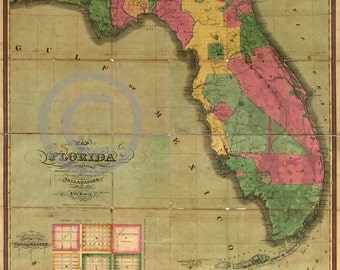 Old florida art | Etsy