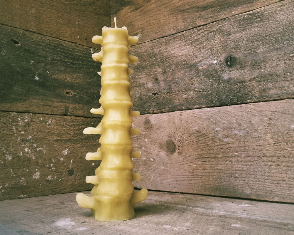 Large Human Spine Candle Spooky Beeswax Halloween Candle
