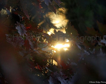 Items similar to Find Your Bright Spot on Etsy